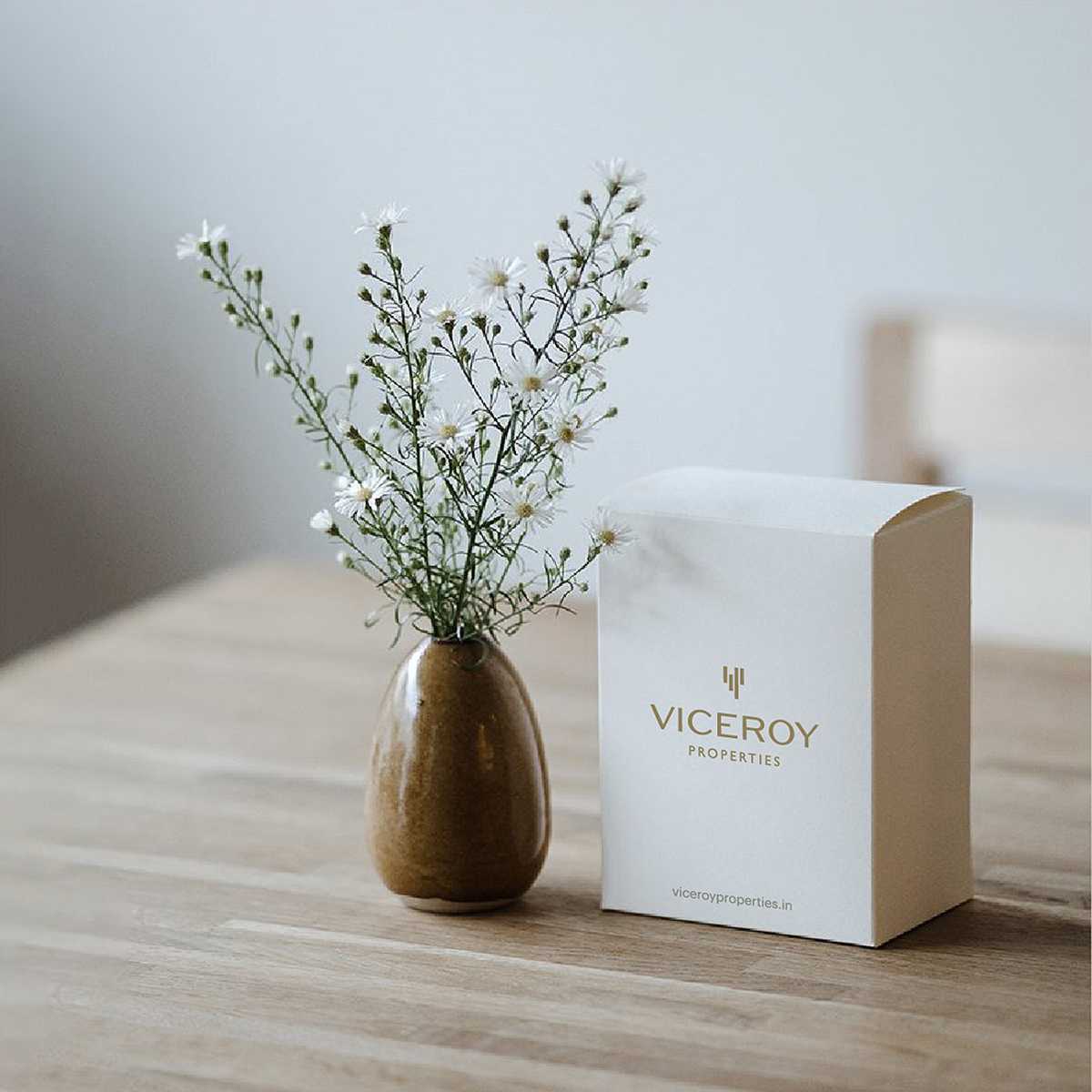 Spike Studio | Branding, Communications & Content Studio