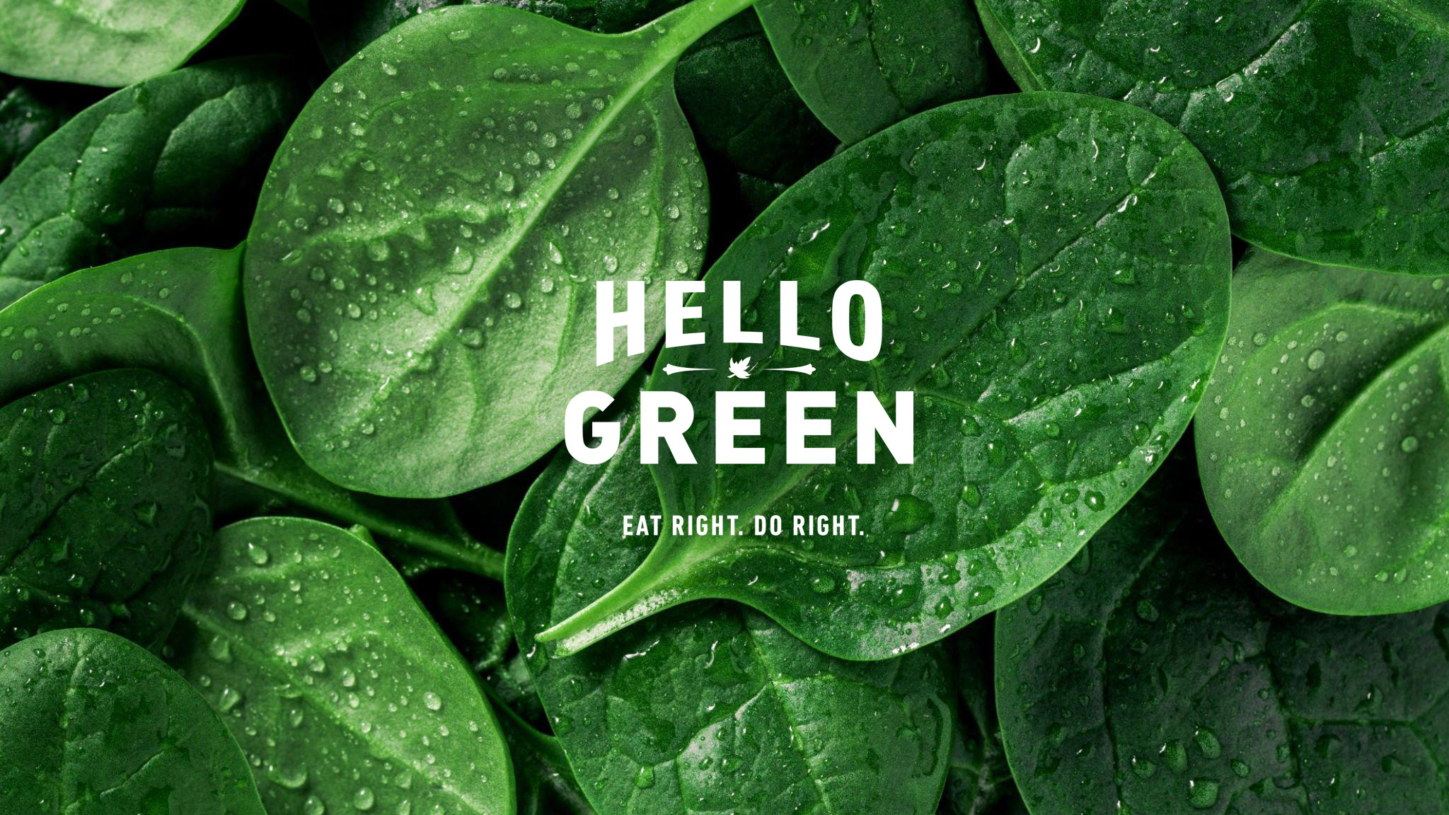 Spike Studio | Branding, Communications & Content Studio